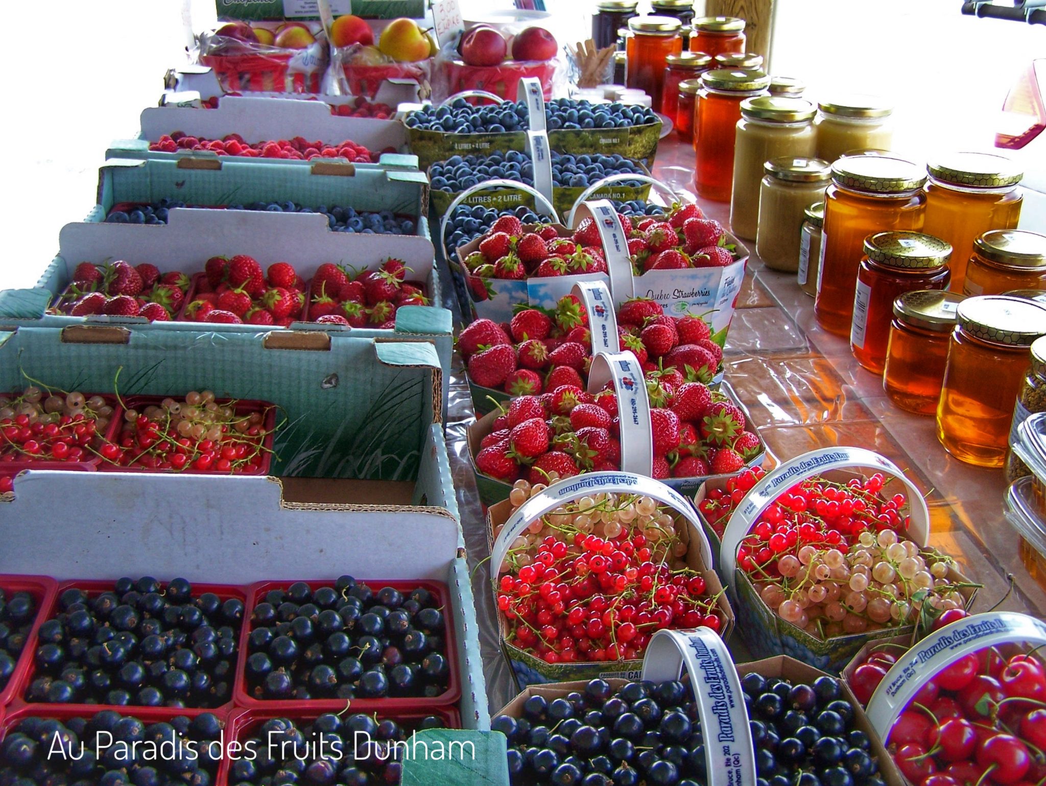 NOS PRODUITS – Paradis des Fruits Dunham